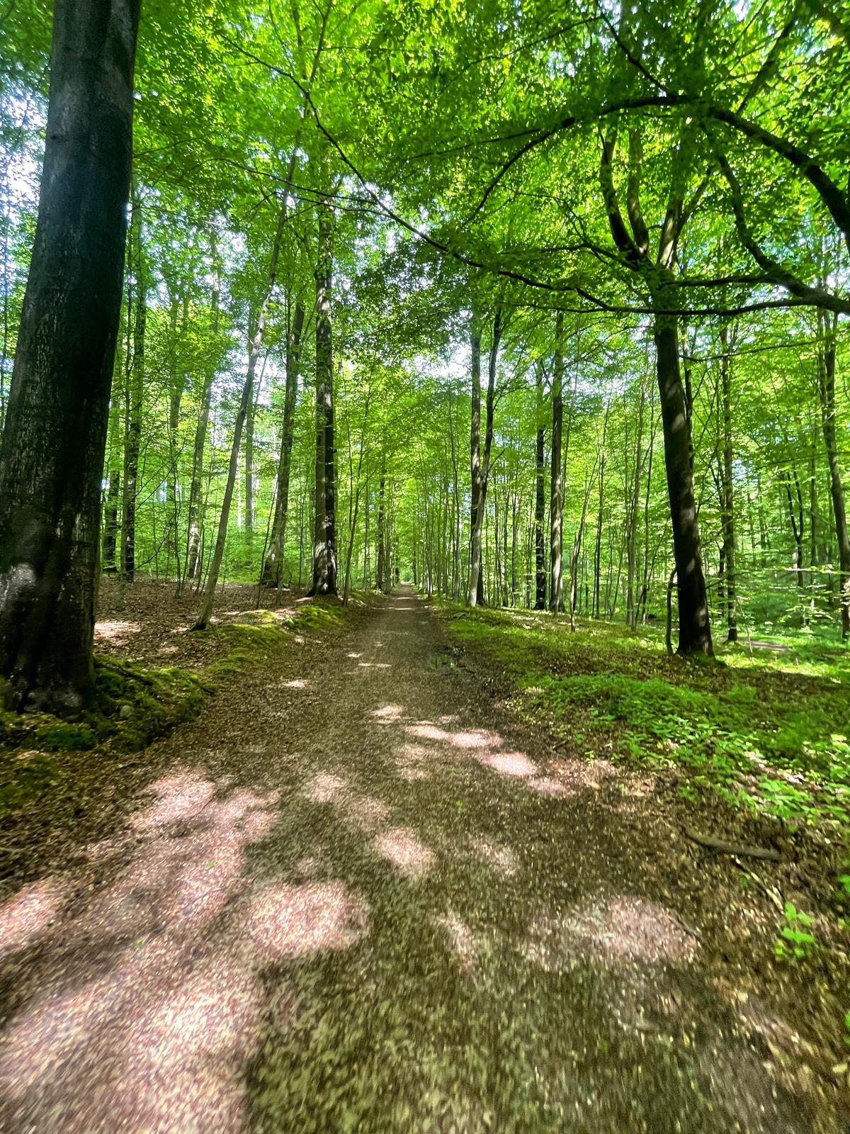 The Ultimate Beginner’s Running Guide: What I Wish I Knew Before I ...